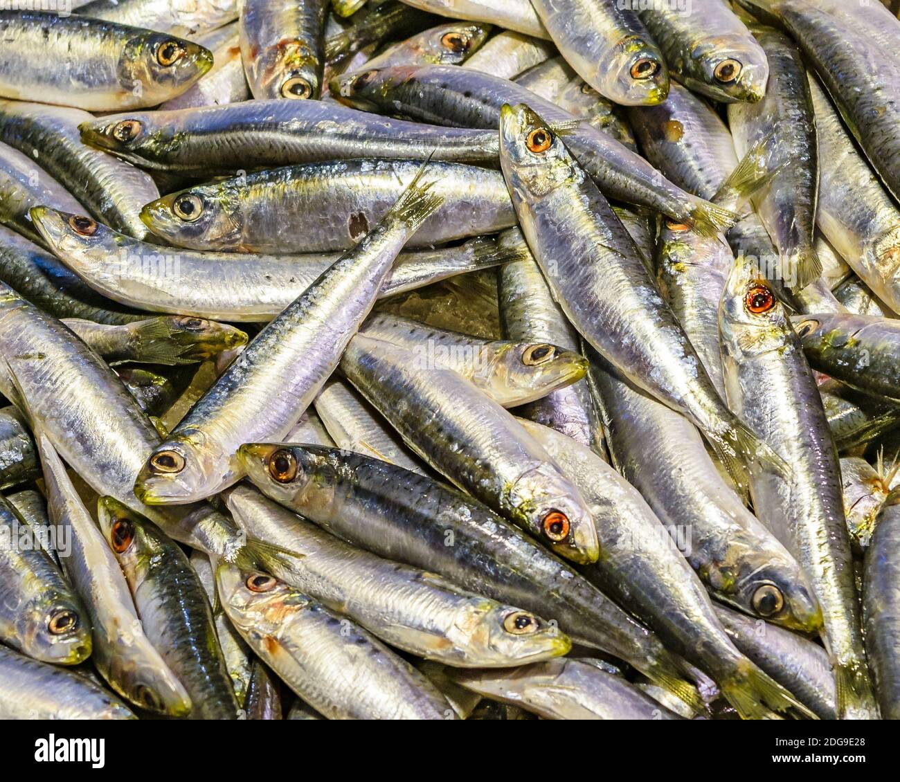Small Fishes Group at Street Market Stock Photo - Alamy