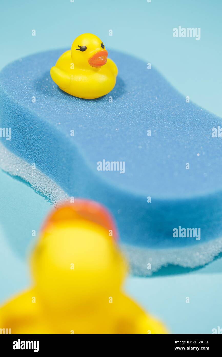 Small and large yellow rubber duck on top of blue bath sponge, on blue ...
