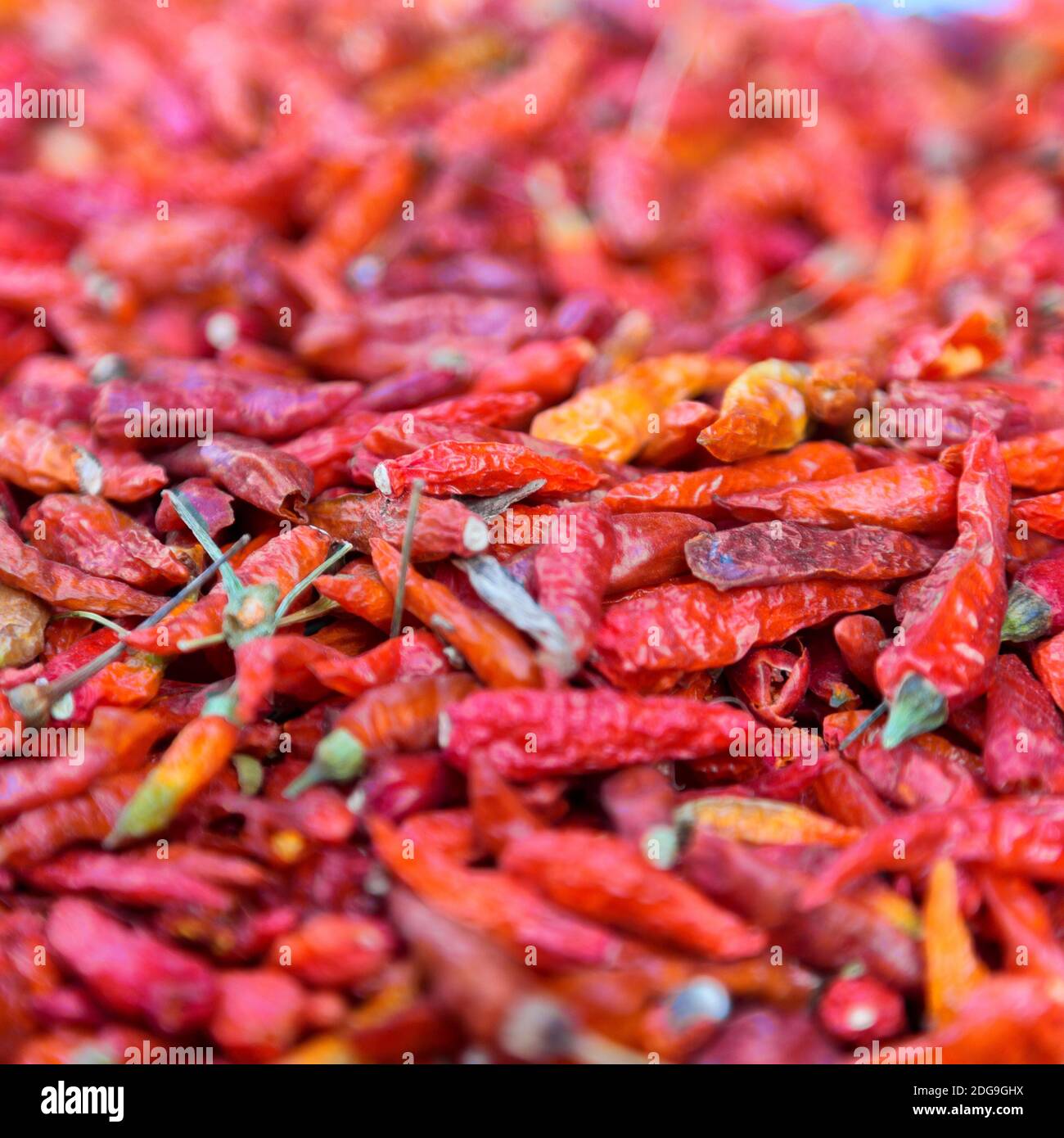 Blurred abstract background texture of a chilli pepper Stock Photo - Alamy