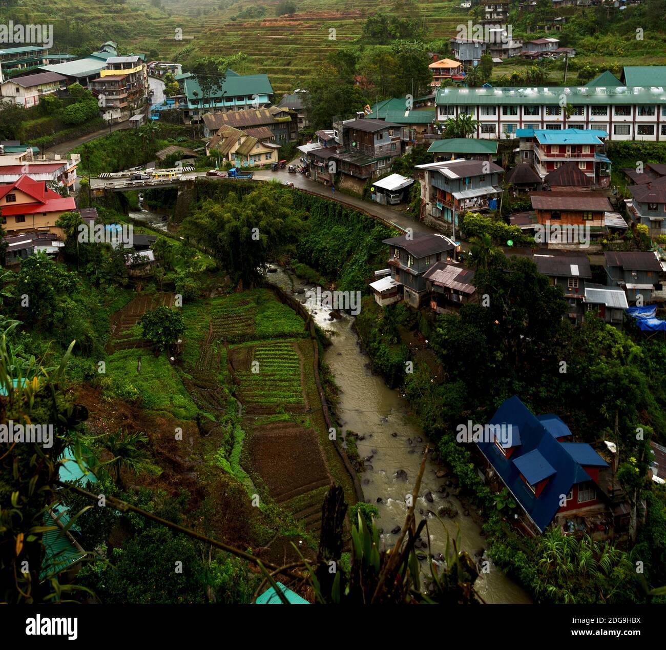 Terrace field for coultivation of rice Stock Photo - Alamy