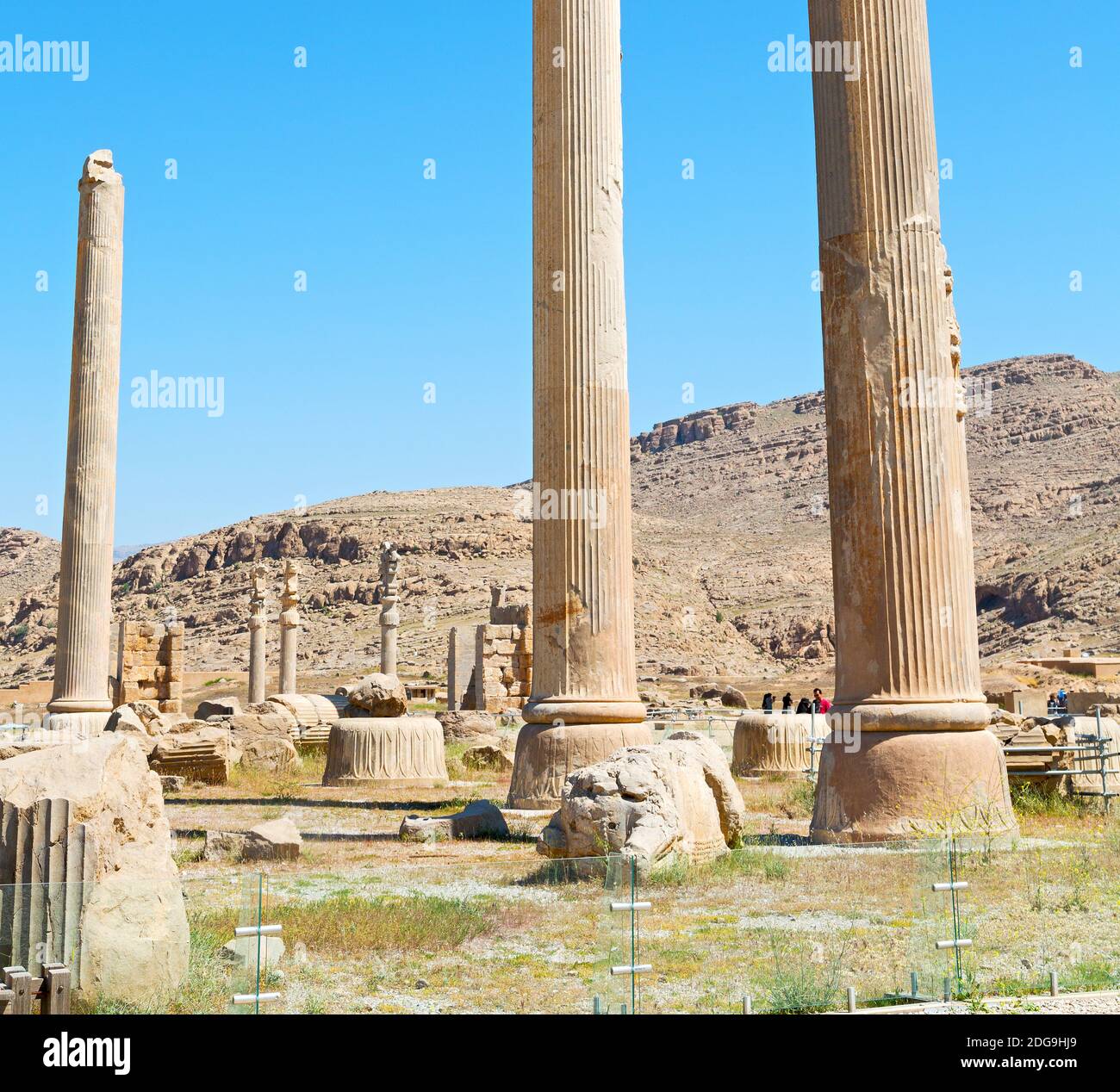 In iran persepolis Stock Photo - Alamy