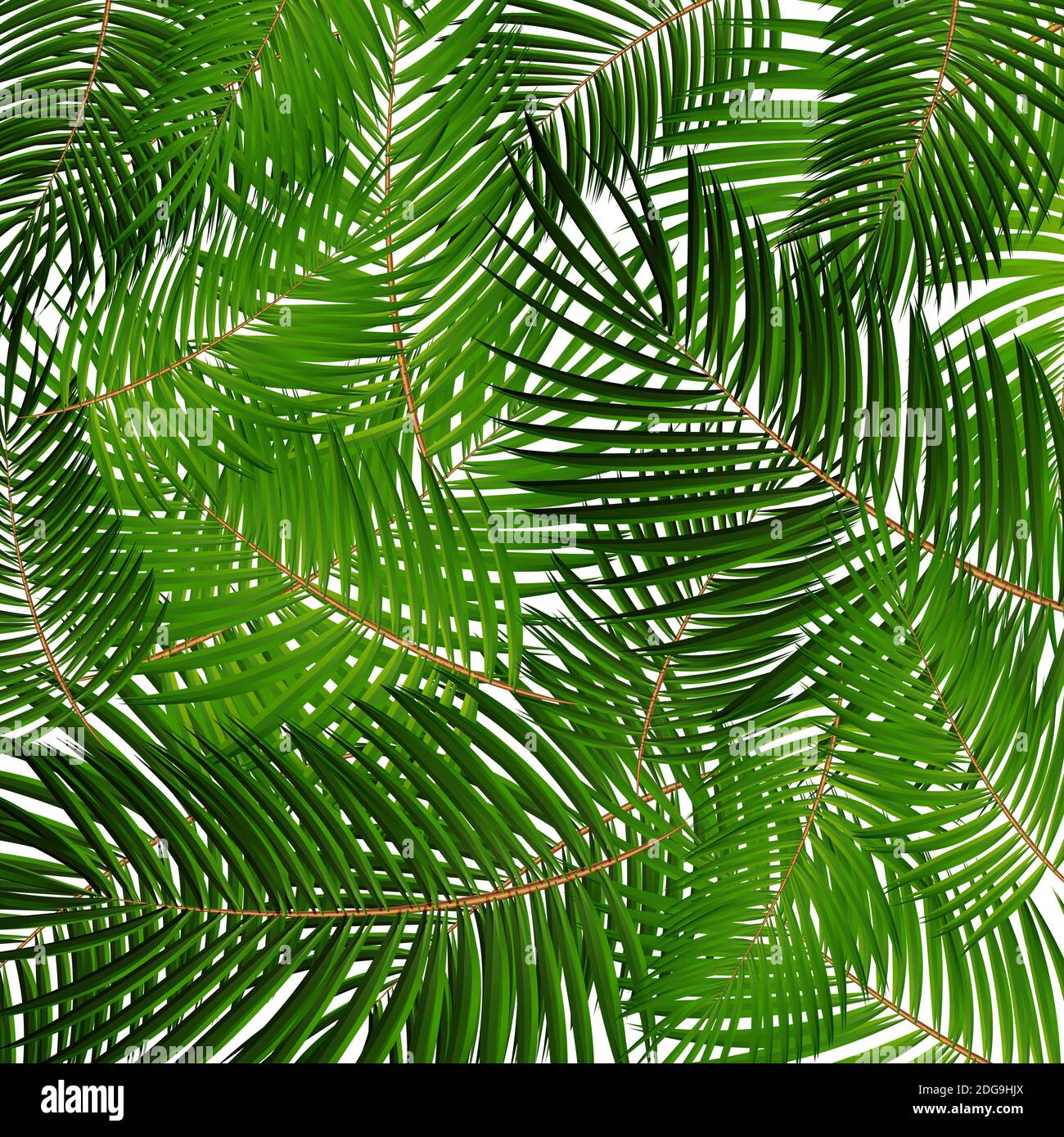 Palm Leaf . Seamless pattern. Background Illustration Stock Photo - Alamy