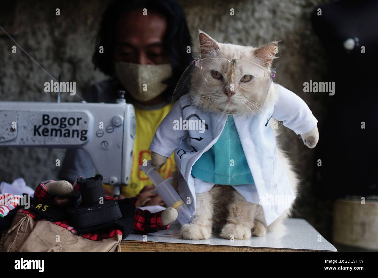Cats Wearing Lab Coats