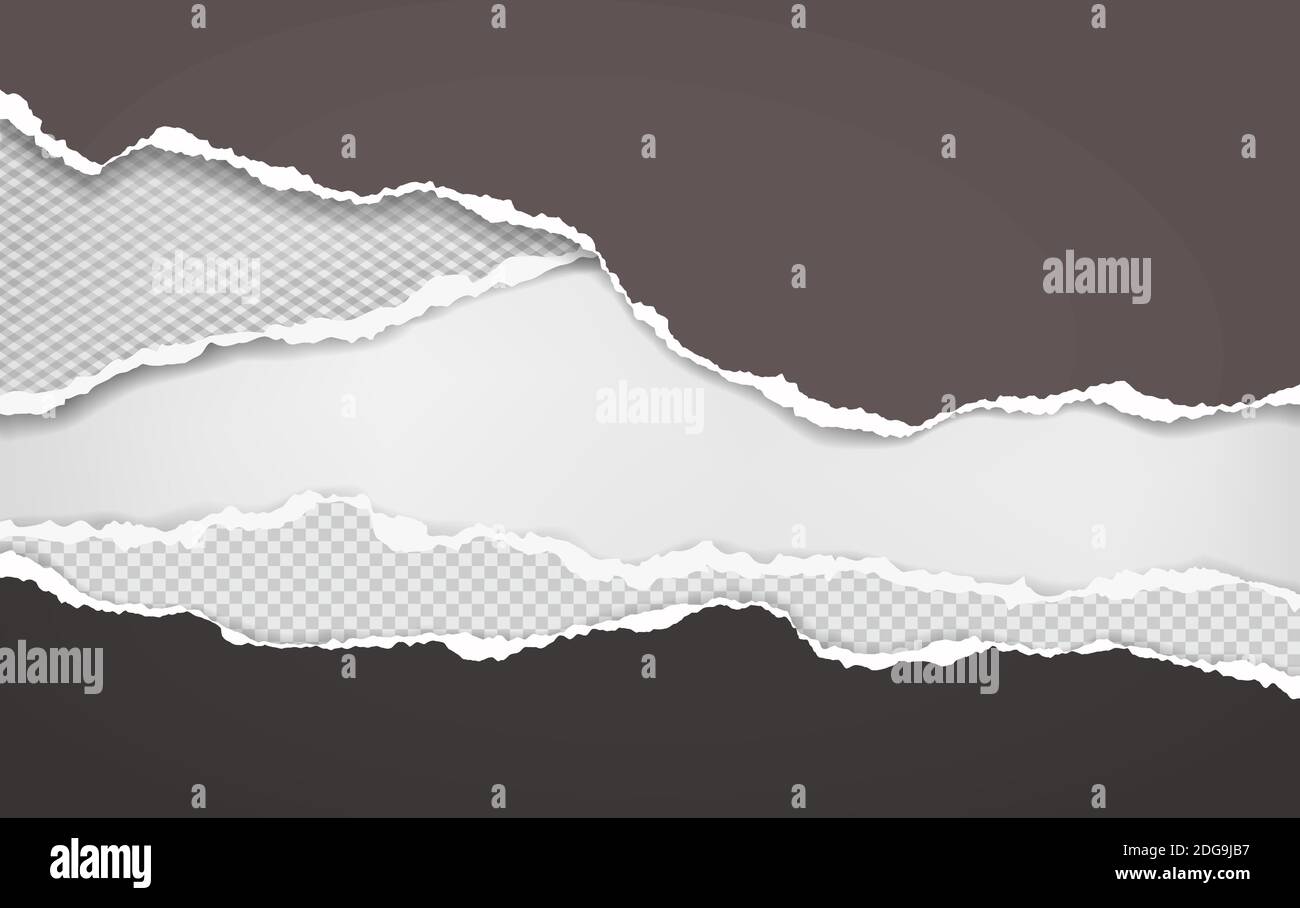 Pieces of torn, ripped brown, grey paper strips with soft shadow are on ...