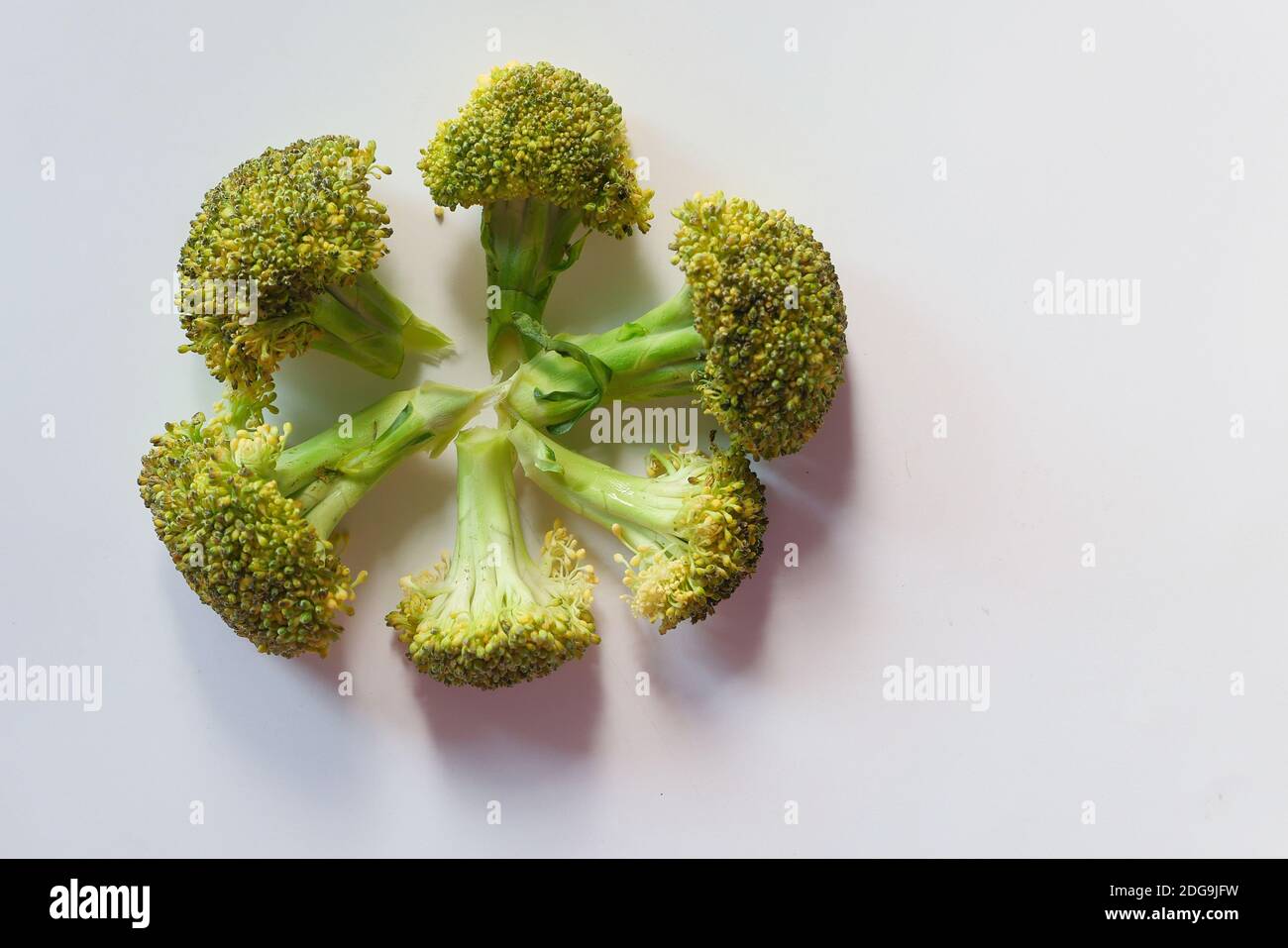 top view of fresh brocoli on white background Stock Photo - Alamy