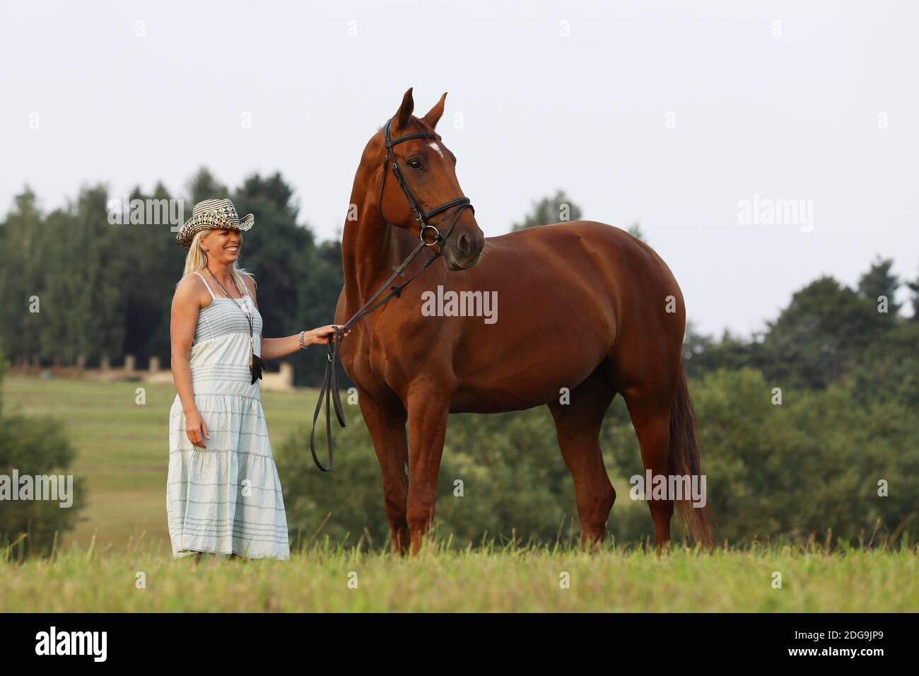 Woman with horse on summer landscape. Making friends with horse ...