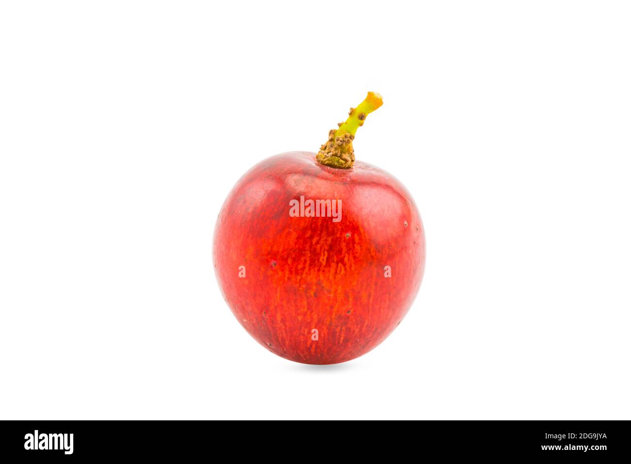 Closeup juicy red grape Cut Out Stock Images & Pictures - Alamy