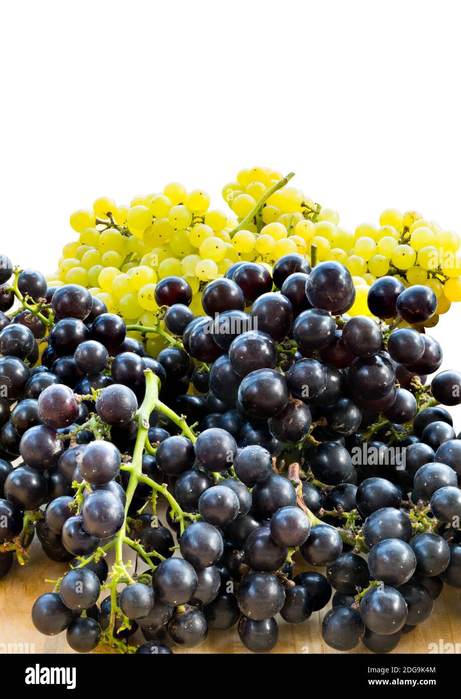 White seedless grape hi-res stock photography and images - Alamy