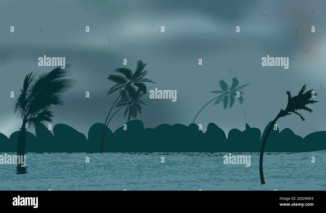 Palm trees during storm and hurricane. Leaves fly across the sky of the ...