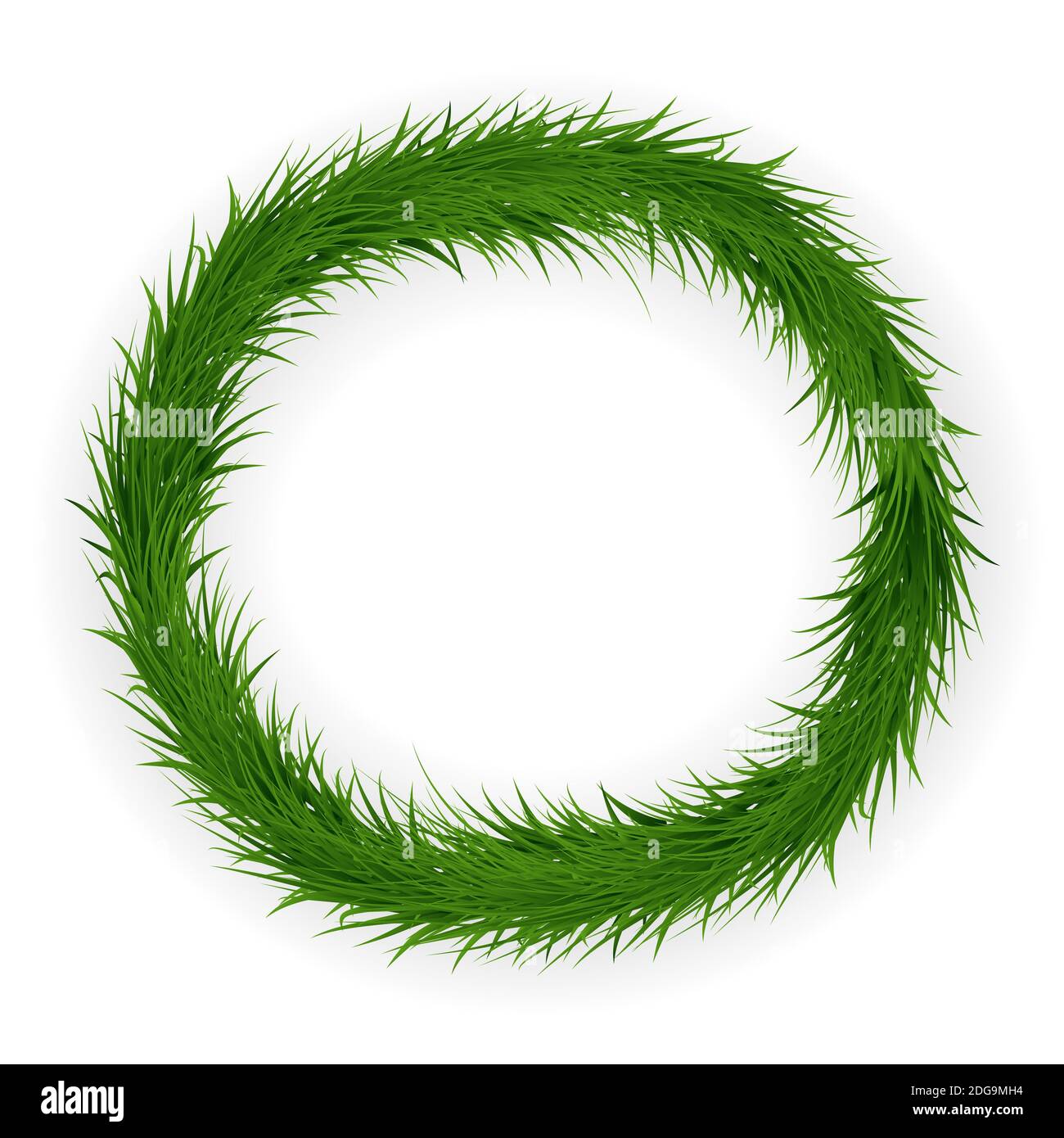 Colorful pine tree frame Cut Out Stock Images & Pictures - Alamy