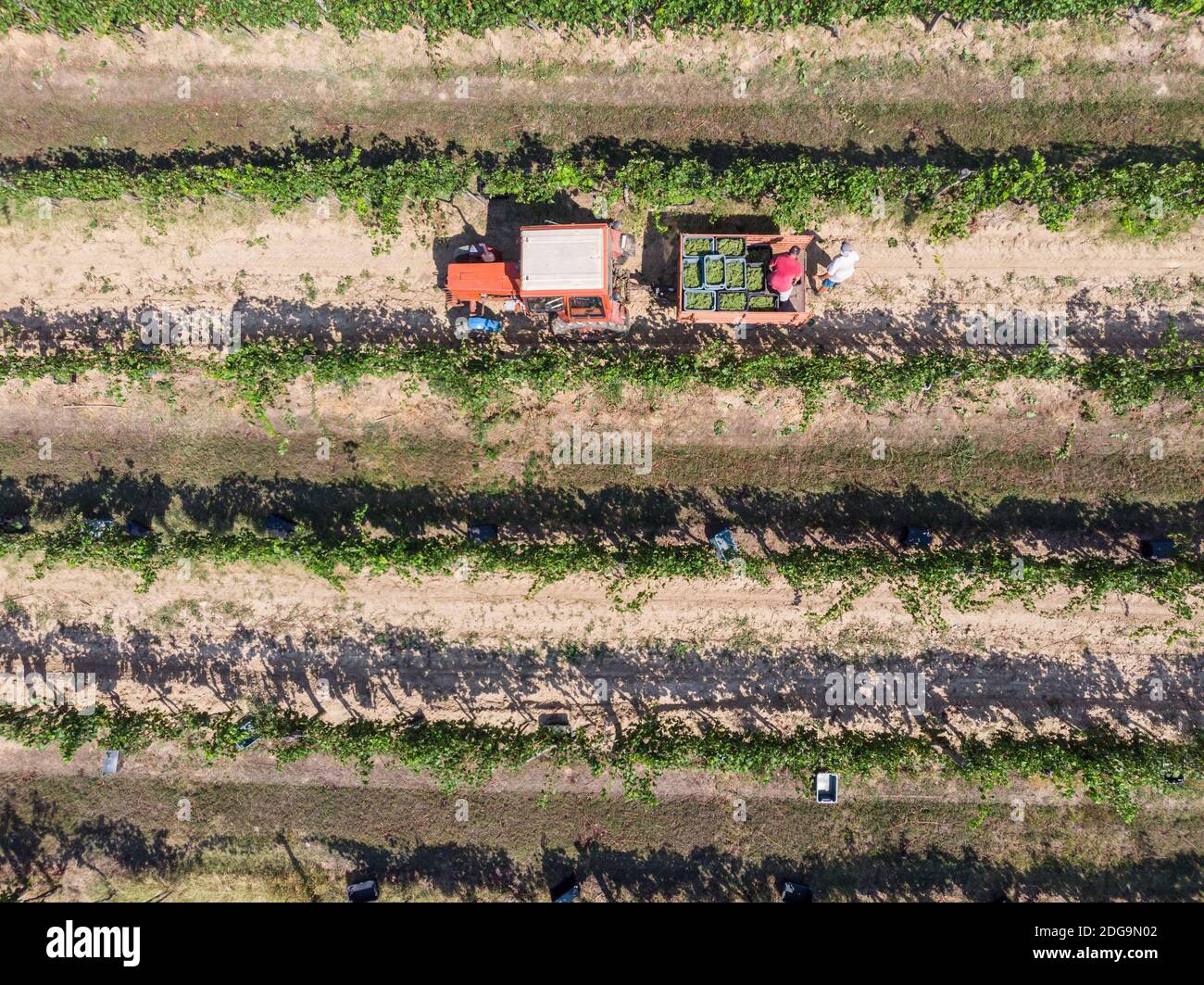 Aerial view tractor making hi-res stock photography and images - Alamy
