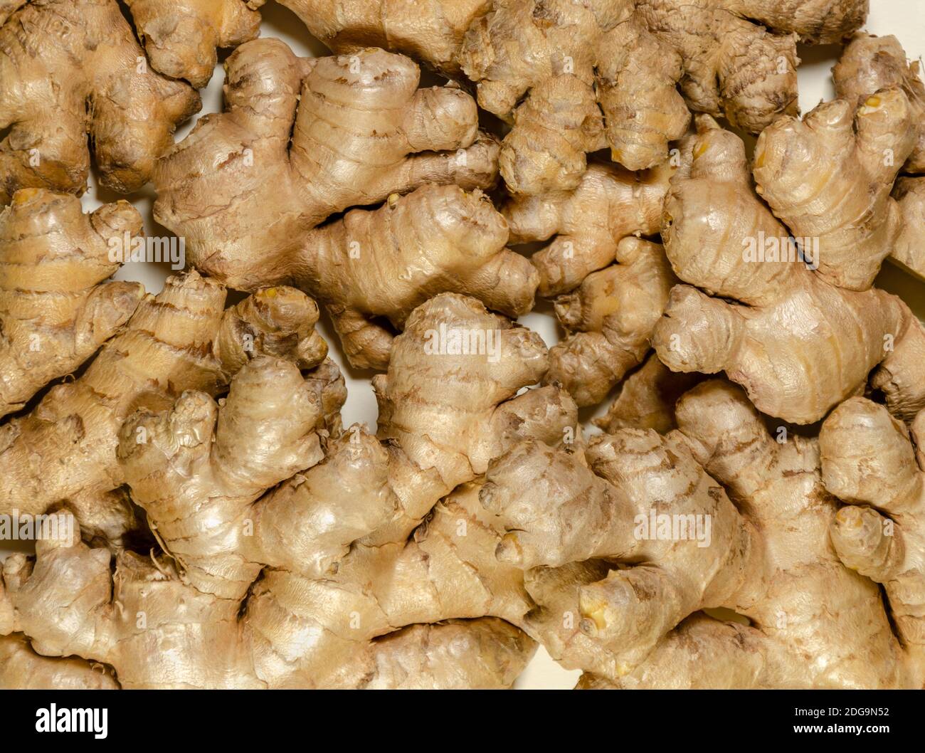 Fleshy roots hi-res stock photography and images - Alamy