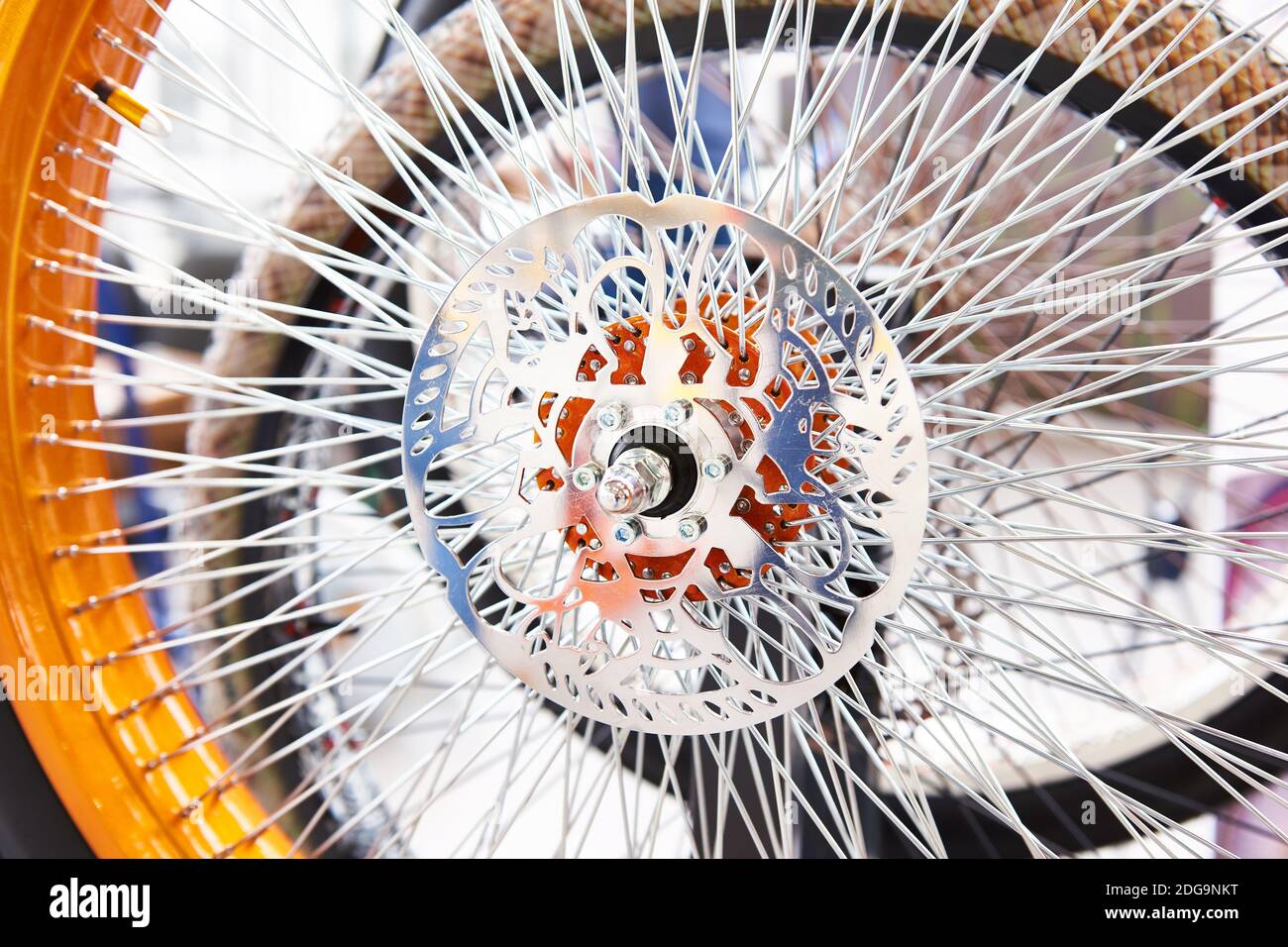 Custom wheel with spokes for bicycle in store Stock Photo - Alamy