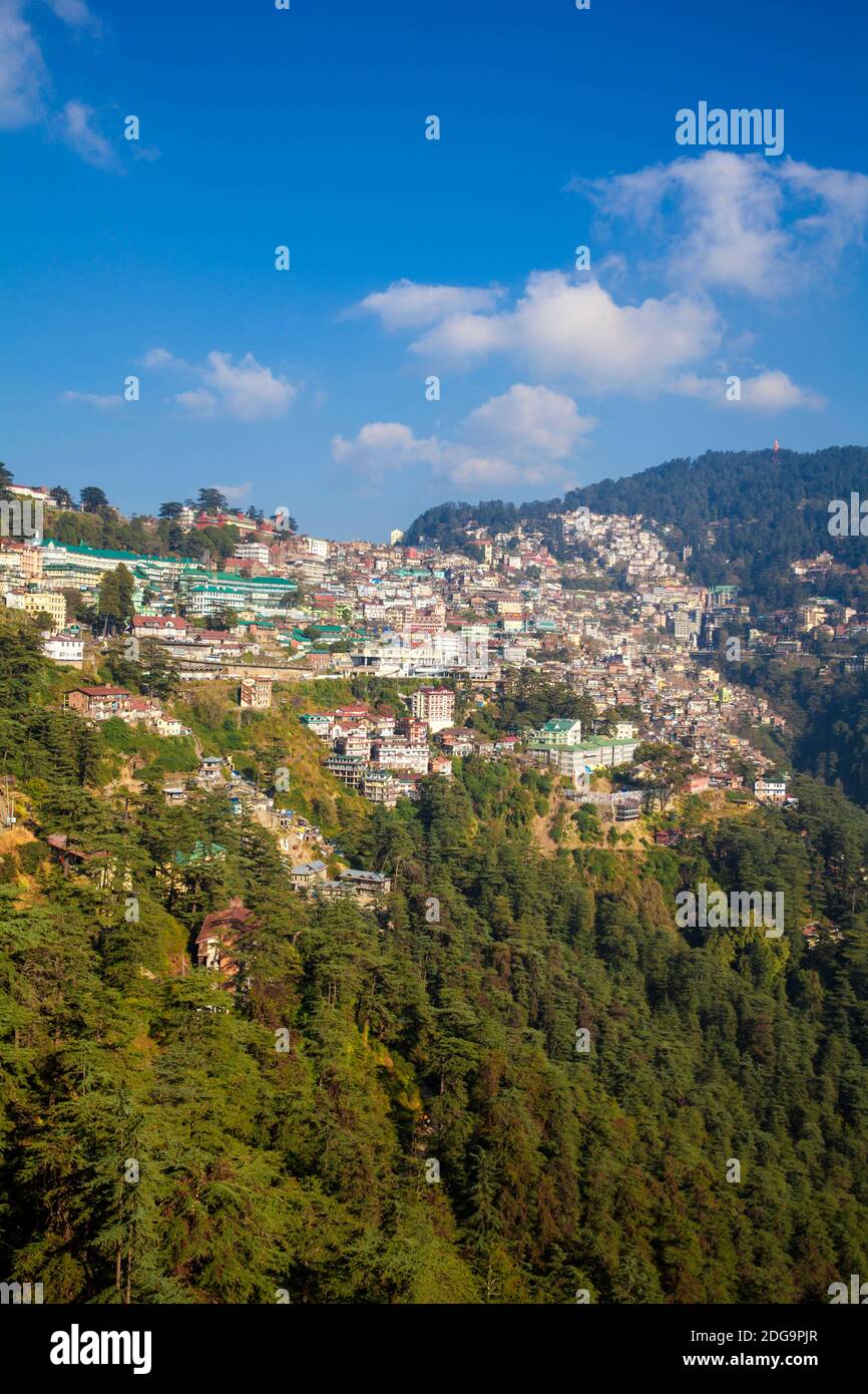 India, Himachal Pradesh, Shimla, View of Shimla city Stock Photo - Alamy