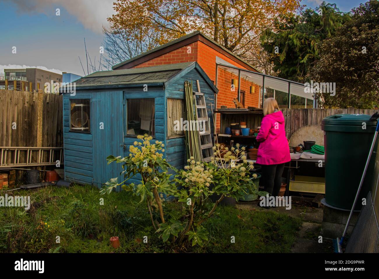 At the bottom of the garden Stock Photo - Alamy