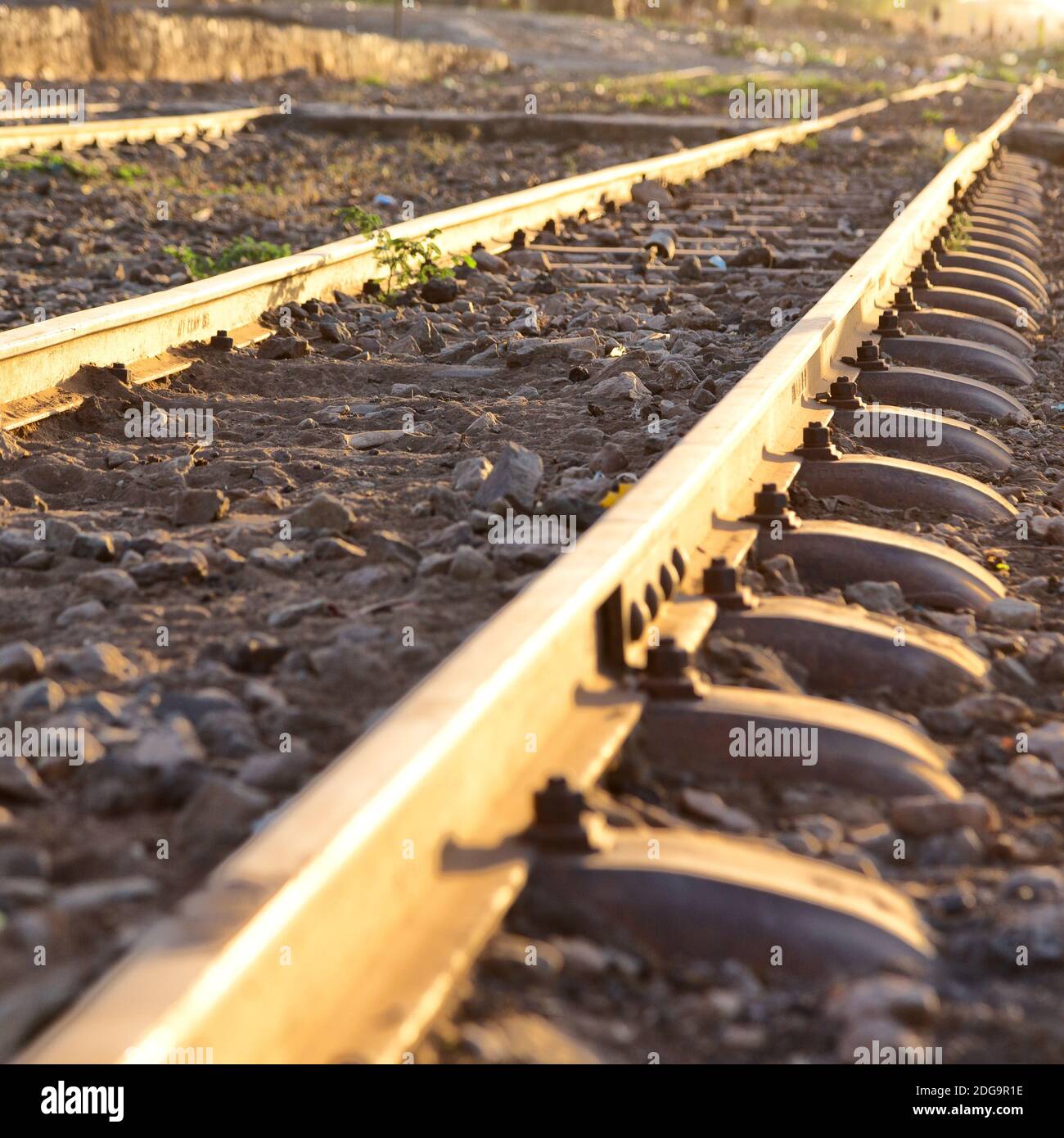 In the light of sunrise the railway road Stock Photo - Alamy