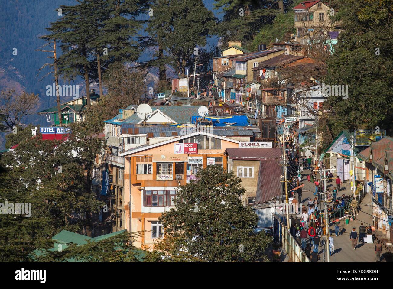 India, Himachal Pradesh, Shimla, Lakkar Bazaar Stock Photo - Alamy