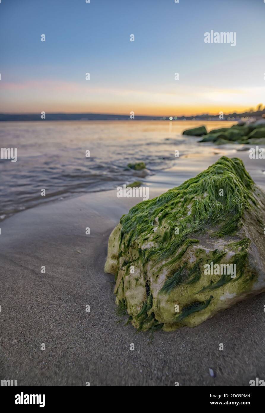 Stone with moss Stock Photo - Alamy