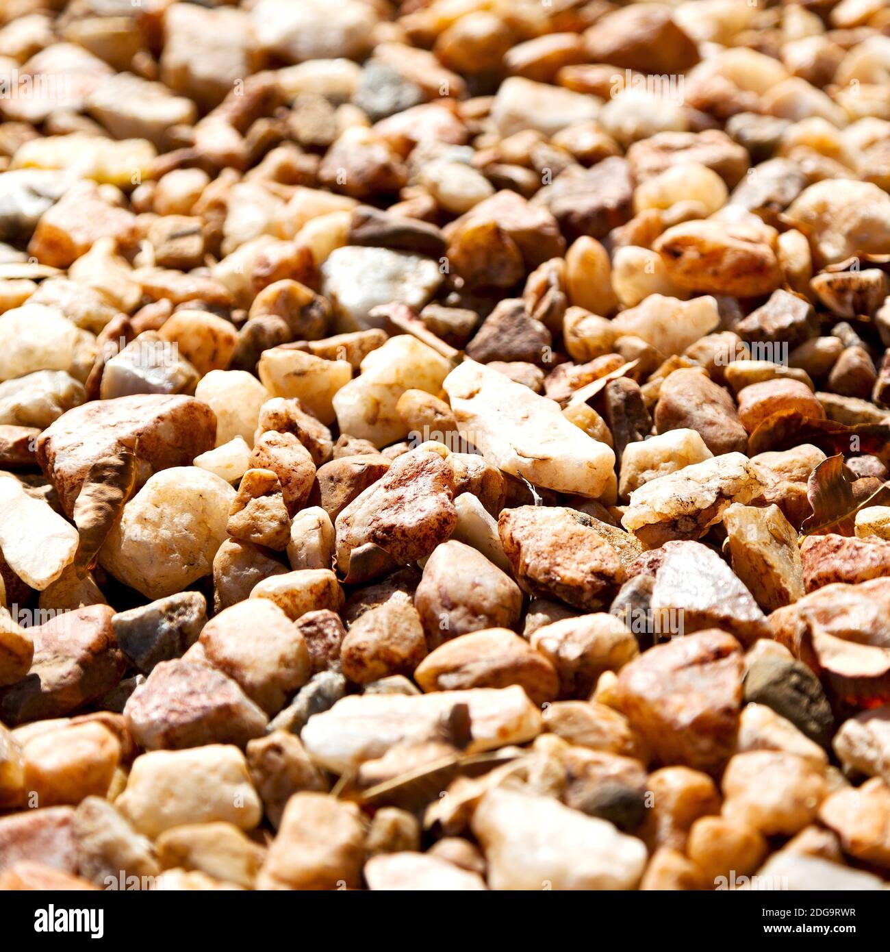 Pebble beach rocks south hi-res stock photography and images - Alamy