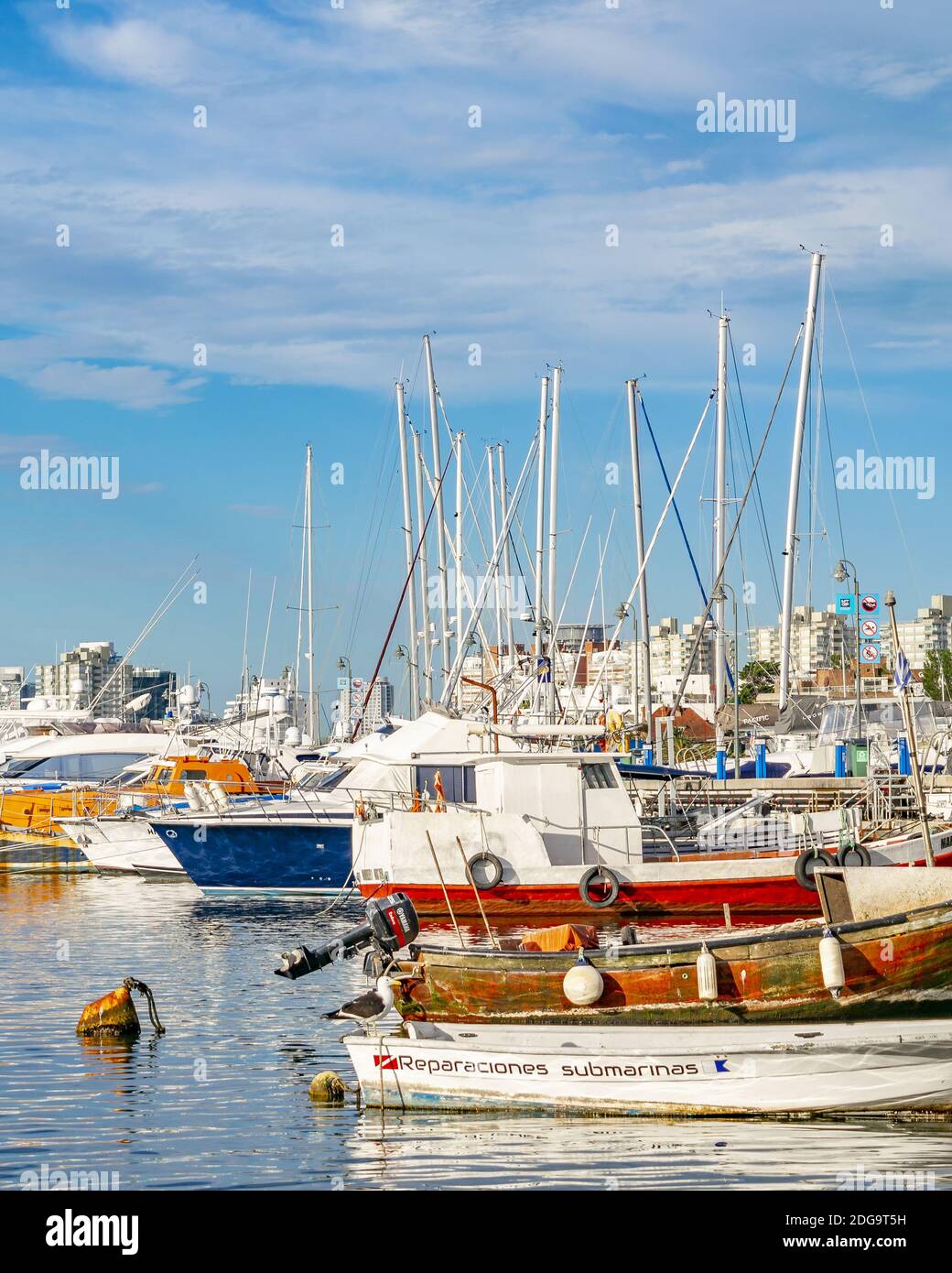 Punta del este dock hi-res stock photography and images - Alamy