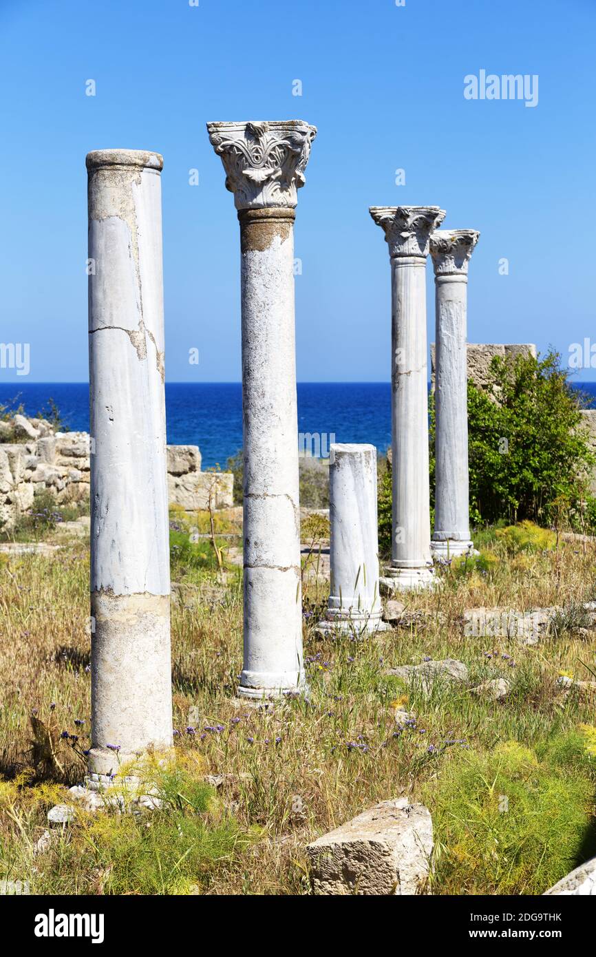 Salamina cyprus hi-res stock photography and images - Alamy