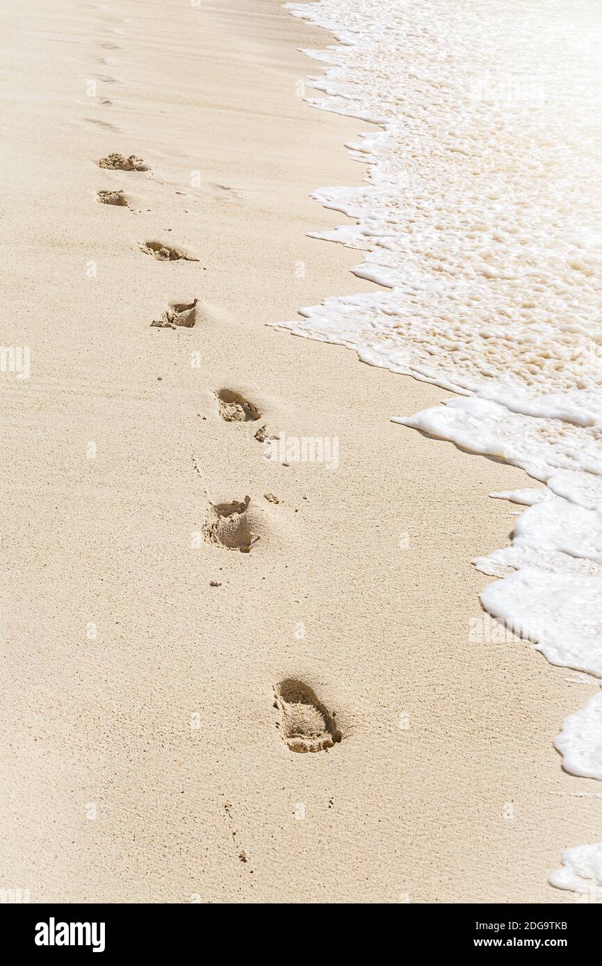 Texture Footprints of human feet on the sand near the water on the ...