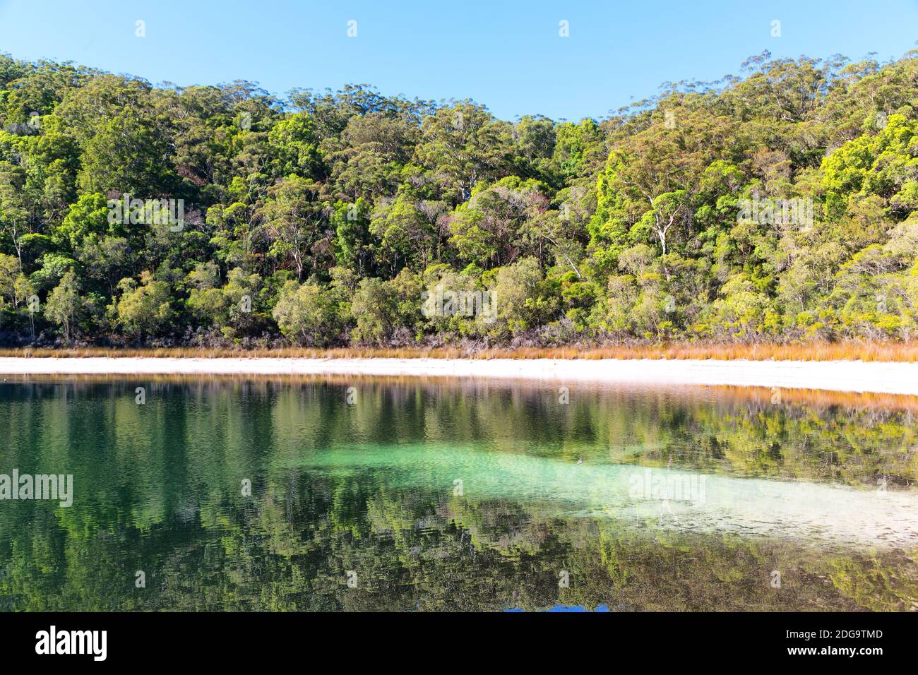 Tourism tree and relax in the paradise Stock Photo - Alamy
