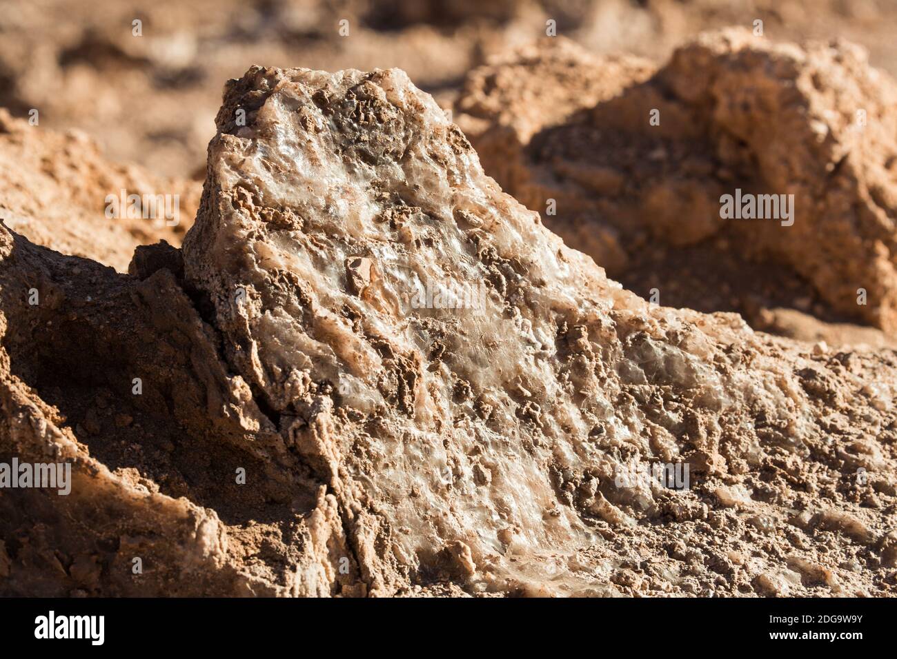 Close up of rocks in the Atacama Desert, Chile, showing salt erosion ...
