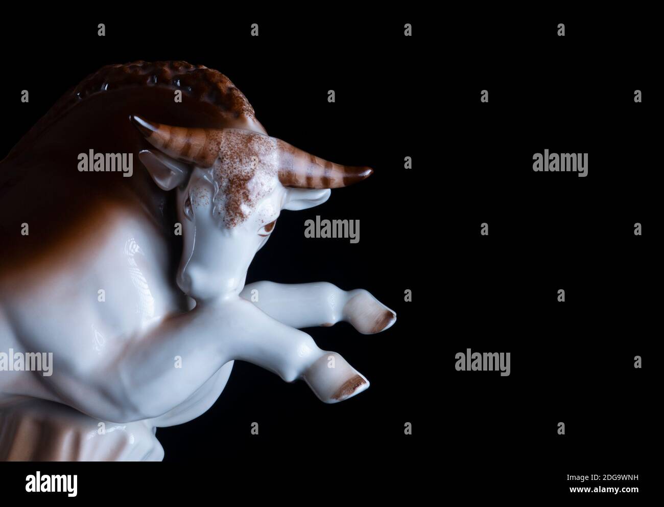 Dramatic powerful bull on black background. Bull symbol of the year ...