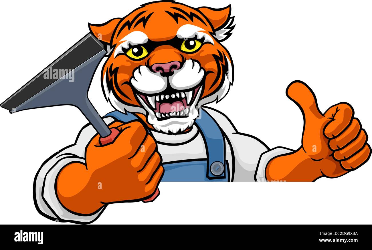 Tiger washing hi-res stock photography and images - Alamy