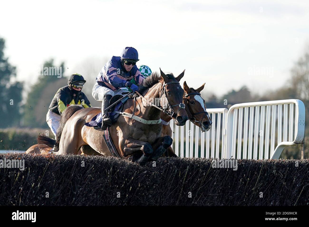 Team bridle hi-res stock photography and images - Alamy