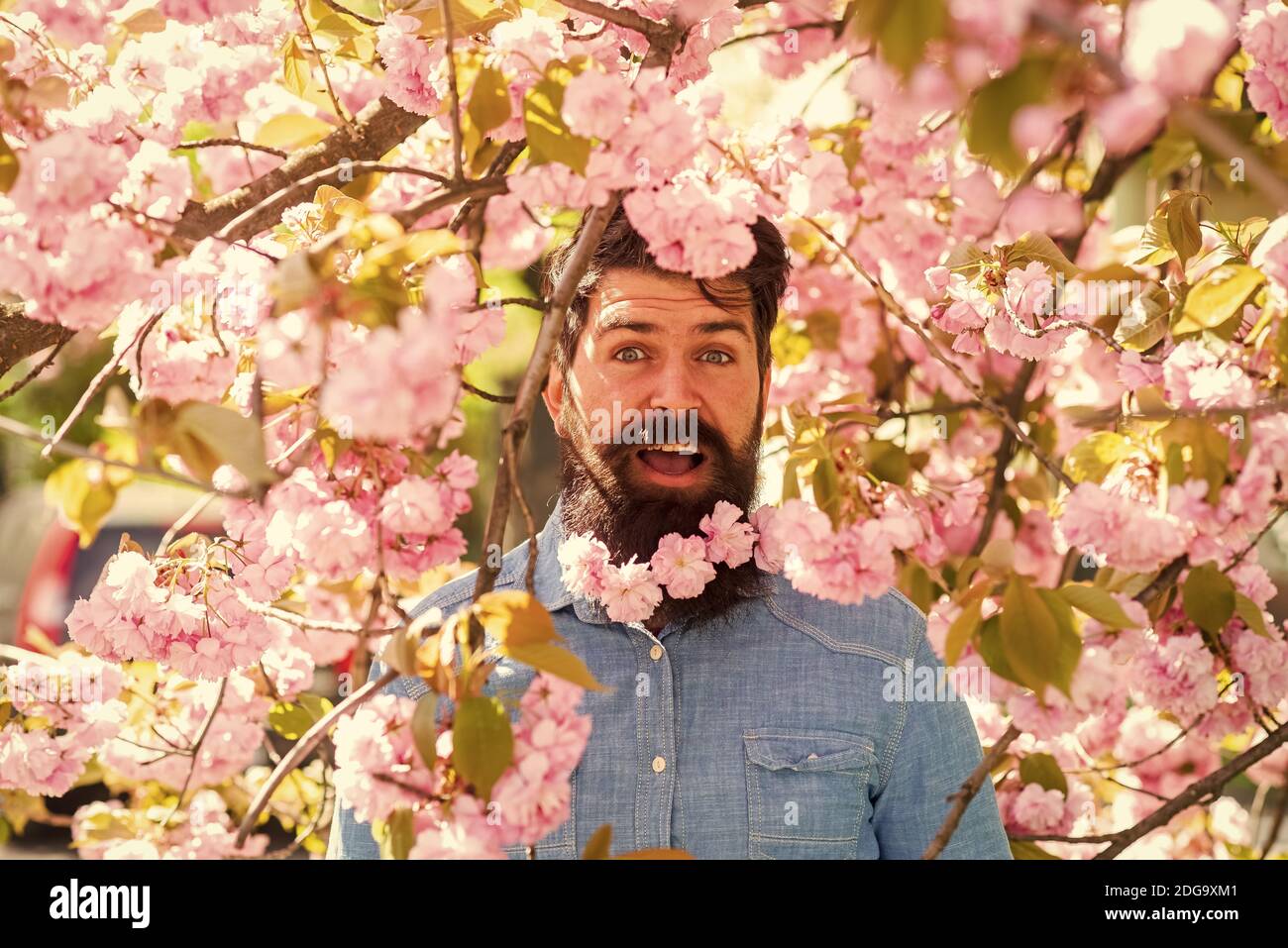 Natural beauty surrounds me. Handsome bearded man outdoors. Happy ...