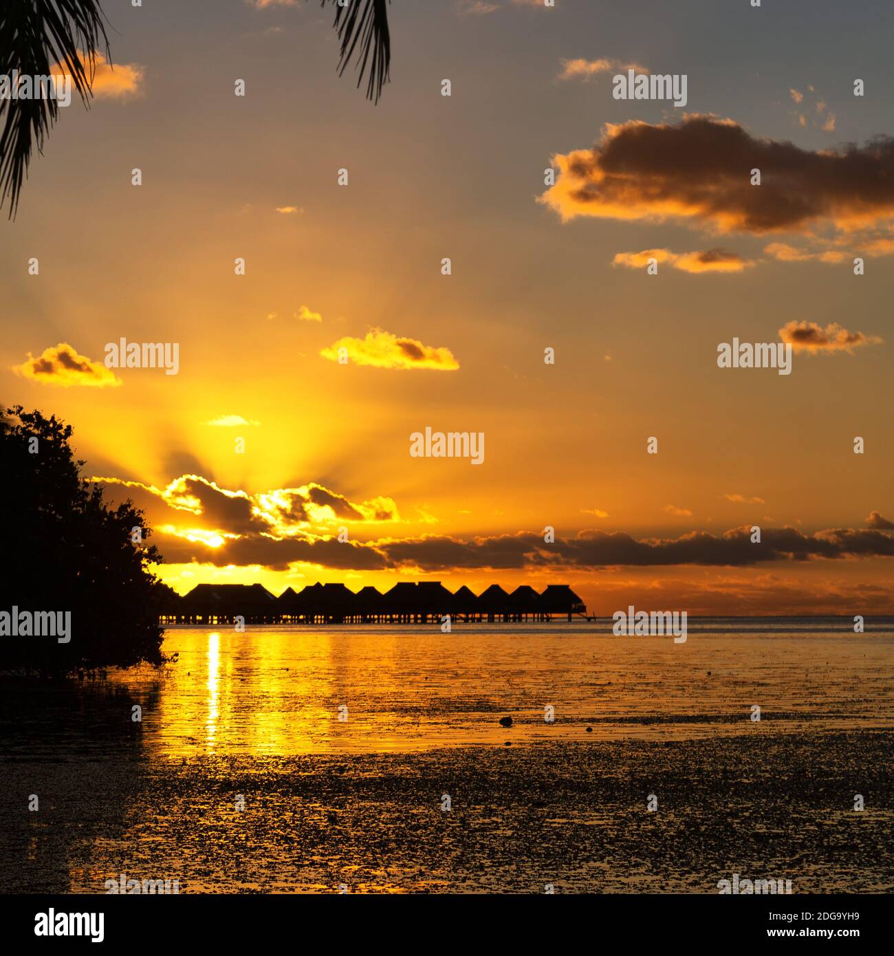 The sunset in the coastline and resort Stock Photo - Alamy