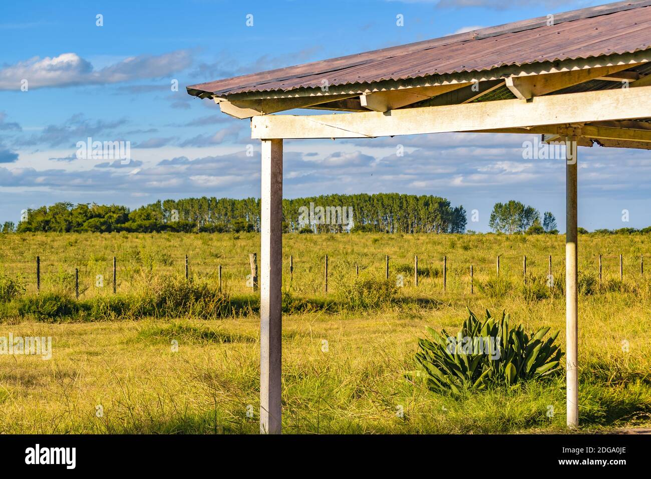 Rural field scene san hi-res stock photography and images - Alamy