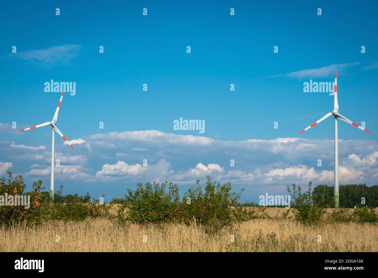 Wind turbines in meadow with apple trees on blue and cloudy sky ...