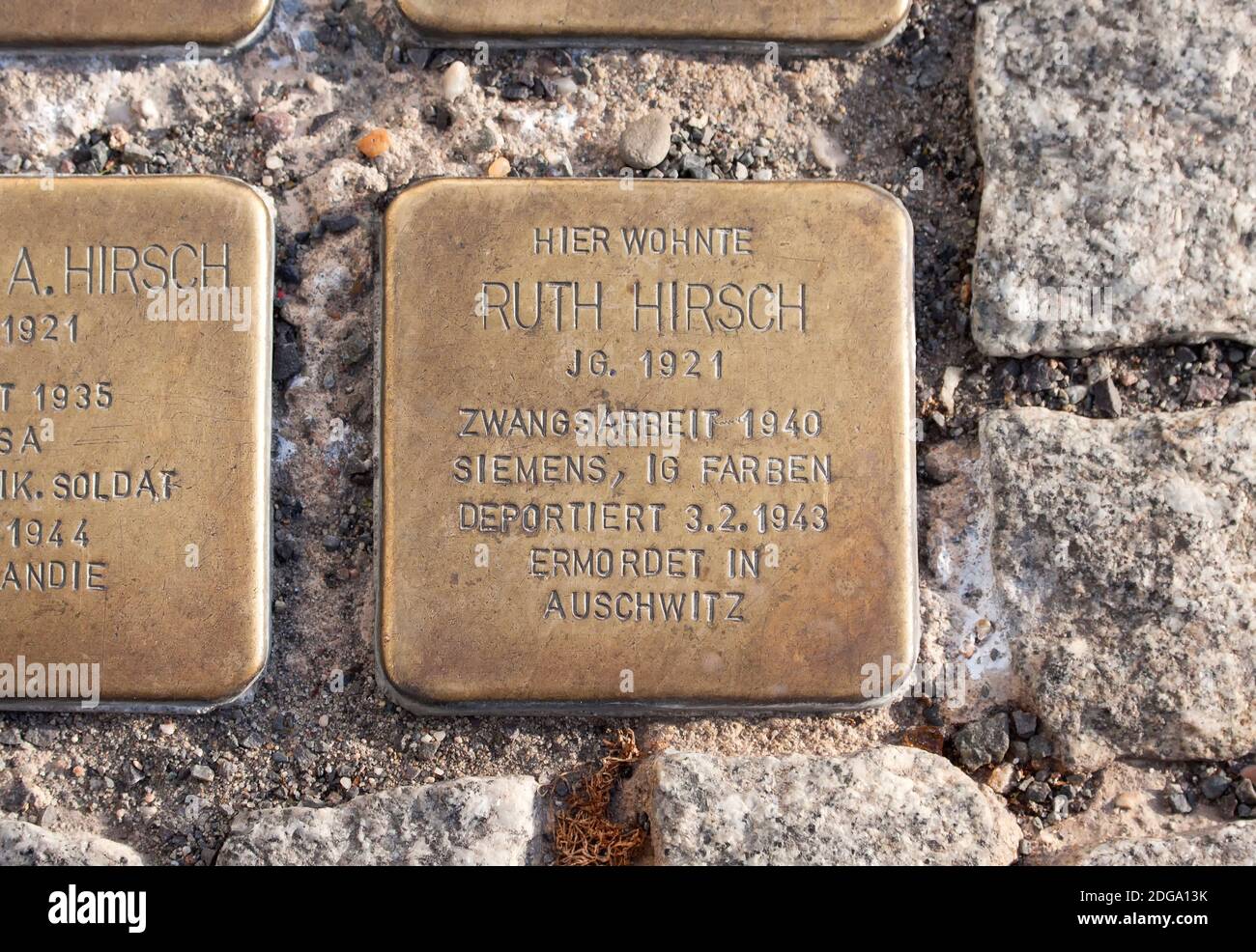 Stumbling stones in Berlin, Germany Stock Photo - Alamy