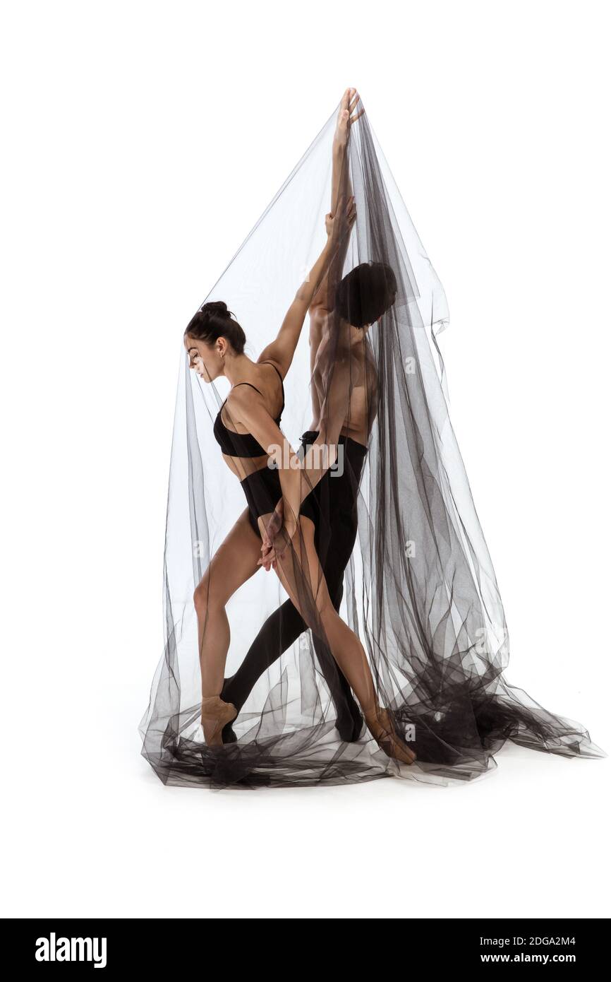 Romance. Graceful classic ballet dancers dancing isolated on white ...