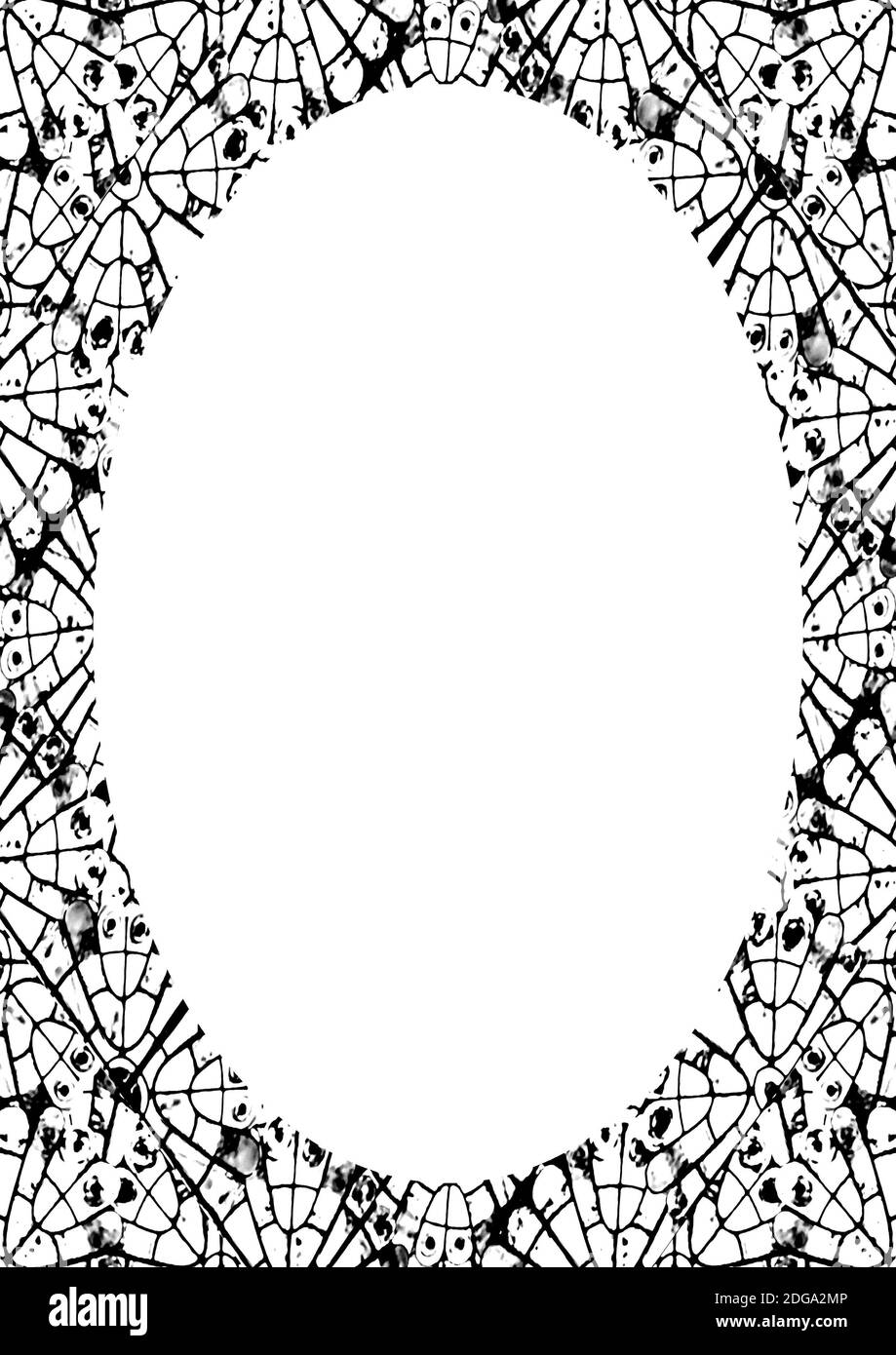 Circle Frame Background with Decorated Rounded Borders Stock Photo - Alamy