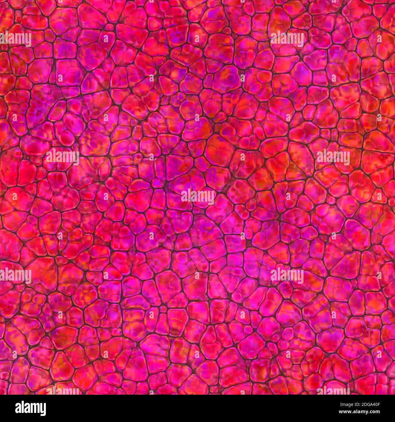 Cartoon seamless texture of color fantasy cobble stone ground pavement ...