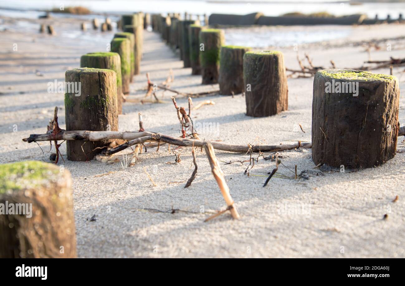 Wooden Groins High Resolution Stock Photography and Images - Alamy