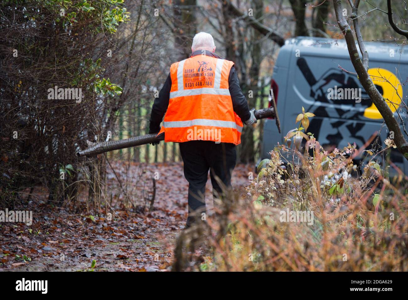 Simba charity tree hi-res stock photography and images - Alamy