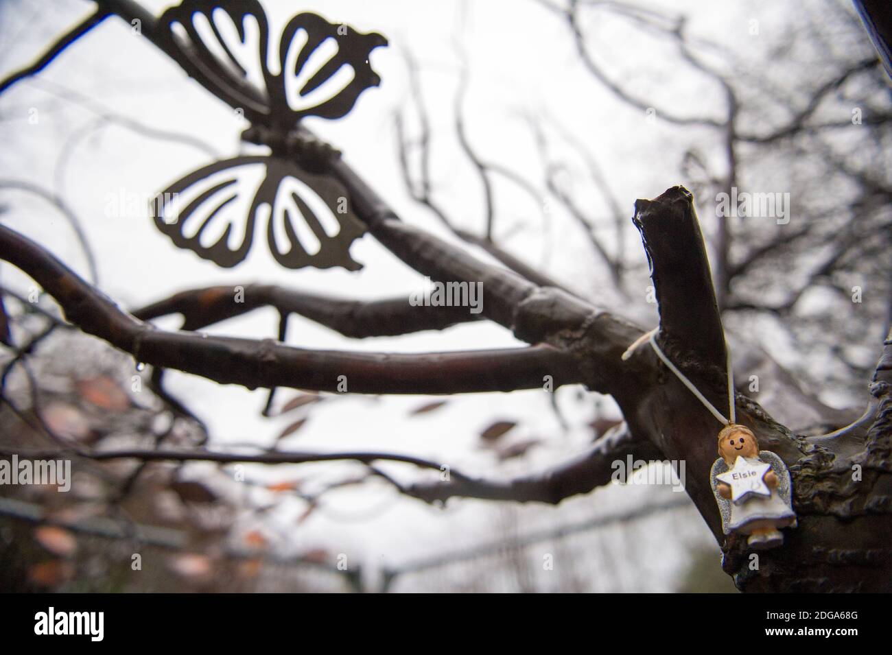 Simba charity glasgow hi-res stock photography and images - Alamy