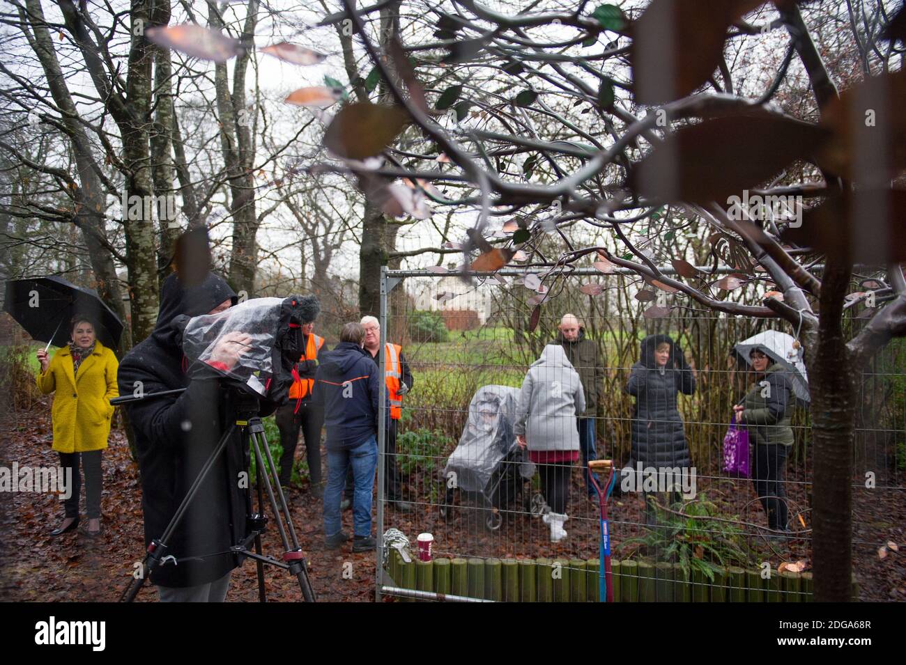 Simba charity tree hi-res stock photography and images - Alamy