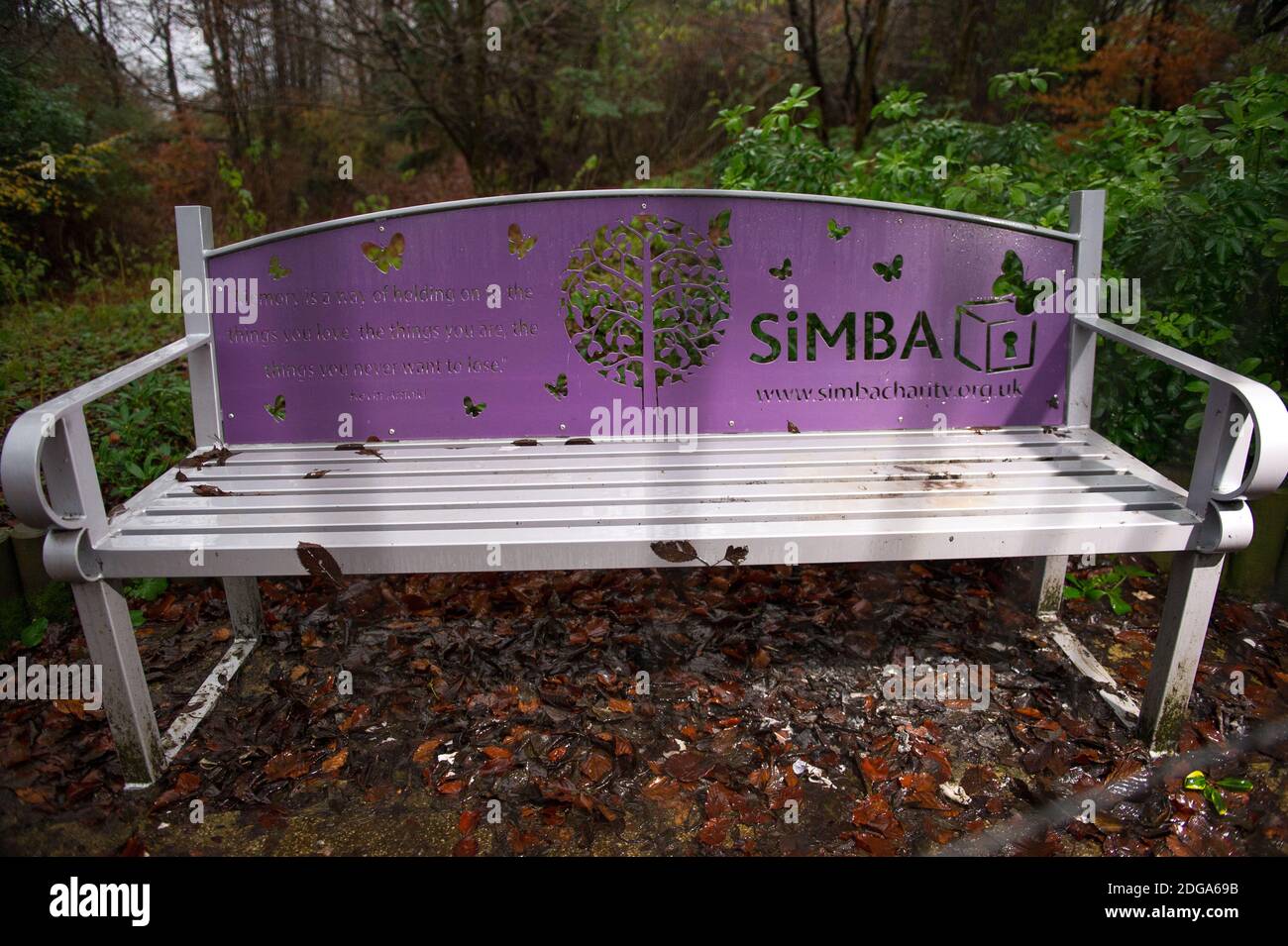 Simbas hi-res stock photography and images - Alamy