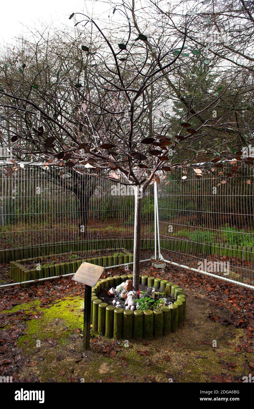 Simbas hi-res stock photography and images - Alamy