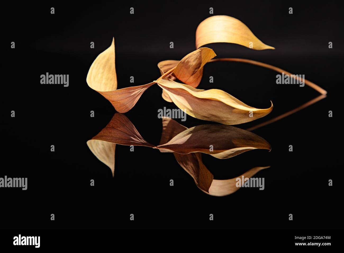 Abstract nostalgia hi-res stock photography and images - Alamy