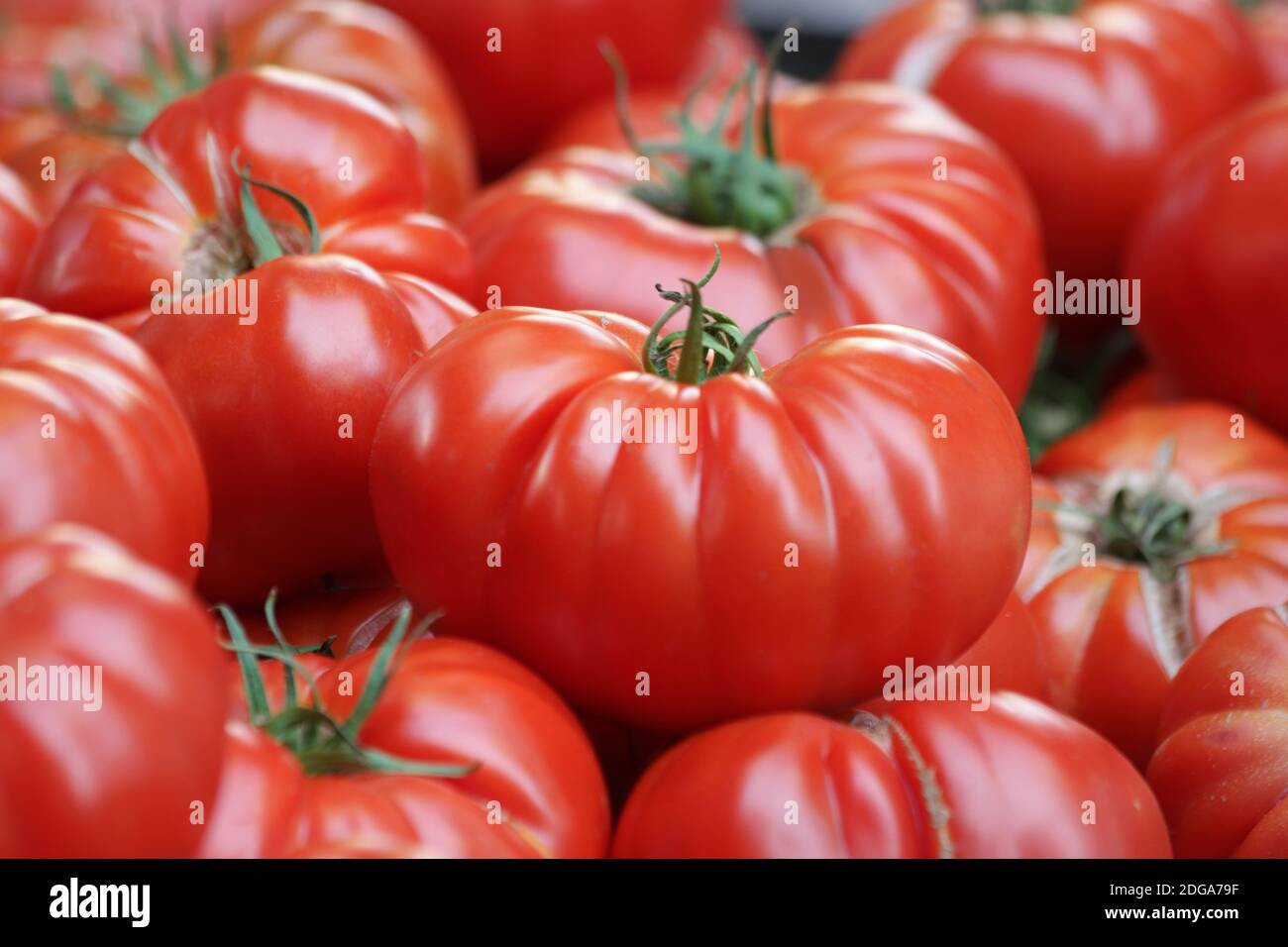 Big red tomatoes hi-res stock photography and images - Alamy