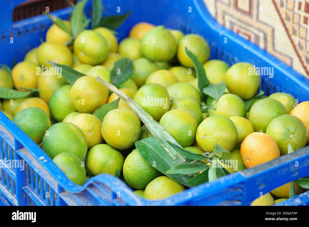 Sale mandarin orange tangerines hi-res stock photography and images - Alamy