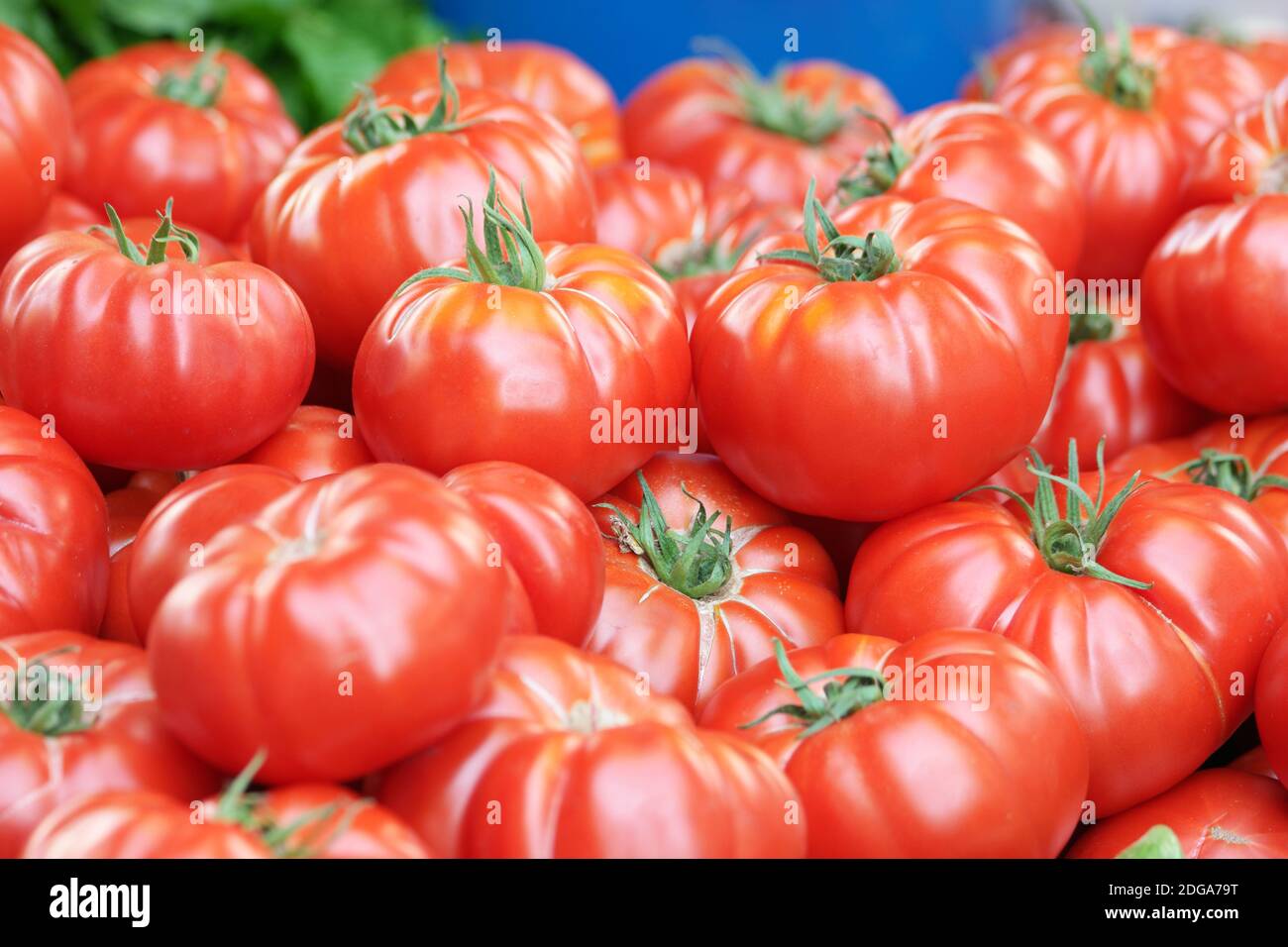 Close up big pile tomatoes hi-res stock photography and images - Alamy