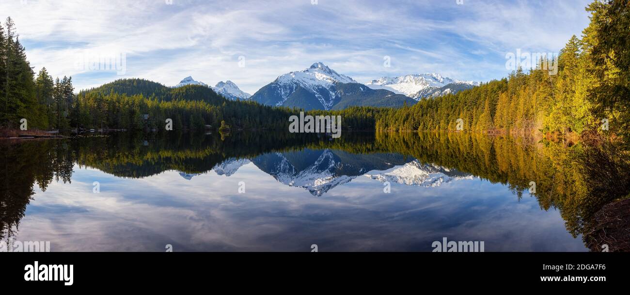 Levette hi-res stock photography and images - Alamy